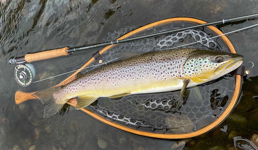 Choosing the Right Swivel Size for Trout Fishing: A Complete Guide ...