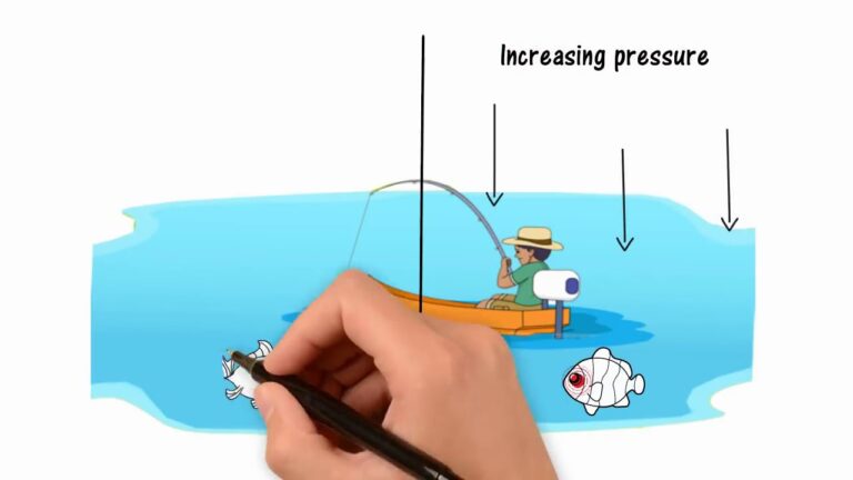 Optimize Your Fishing Trip with the Ideal Barometric Pressure - Lake ...