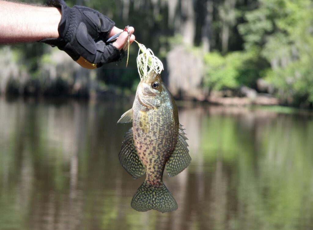 Find the Perfect Fishing Attire for a Memorable Lake Life Experience