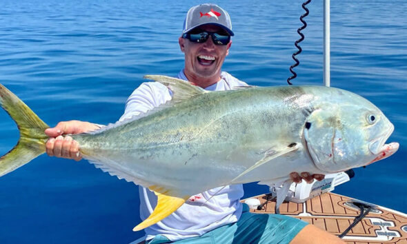 The Secret to Catching More Catfish: Chicken Gizzards as Bait - Lake ...