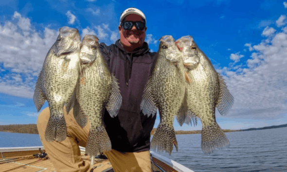 7 Amazing Facts About Red Drum Fish You Didn't Know - Lake Life Fishing
