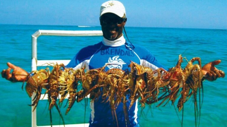 Exploring the Delicious World of Crawfish in the Bahamas - Lake Life ...