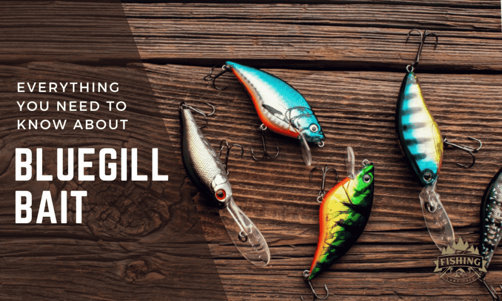The Surprising Benefits of Eating Bluegill: A Nutritious and ...